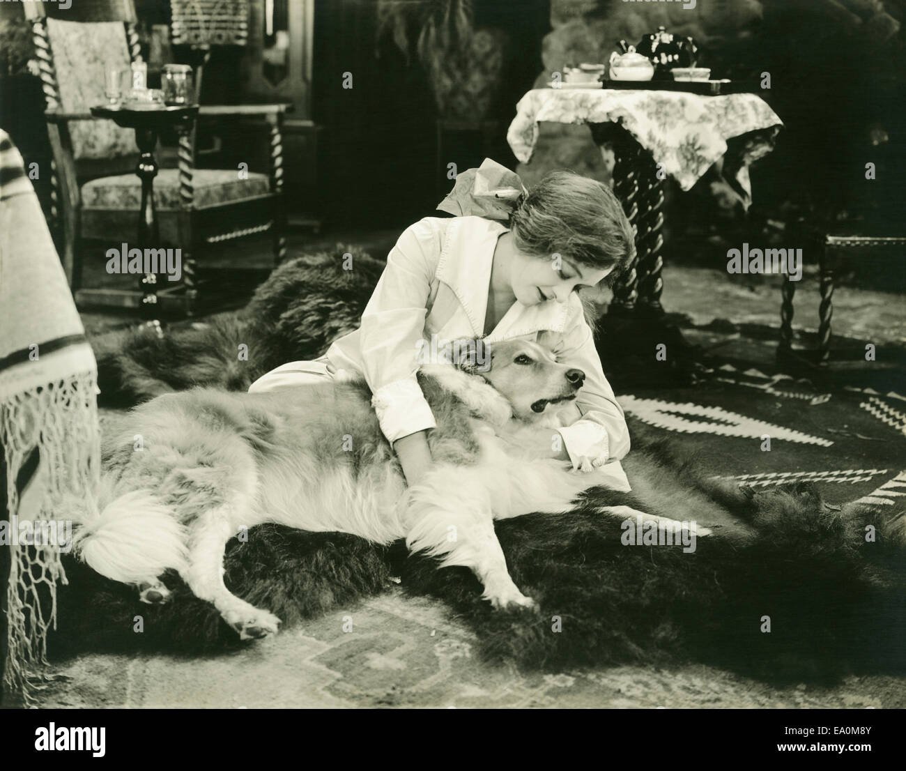 Four legged animal hi-res stock photography and images - Alamy