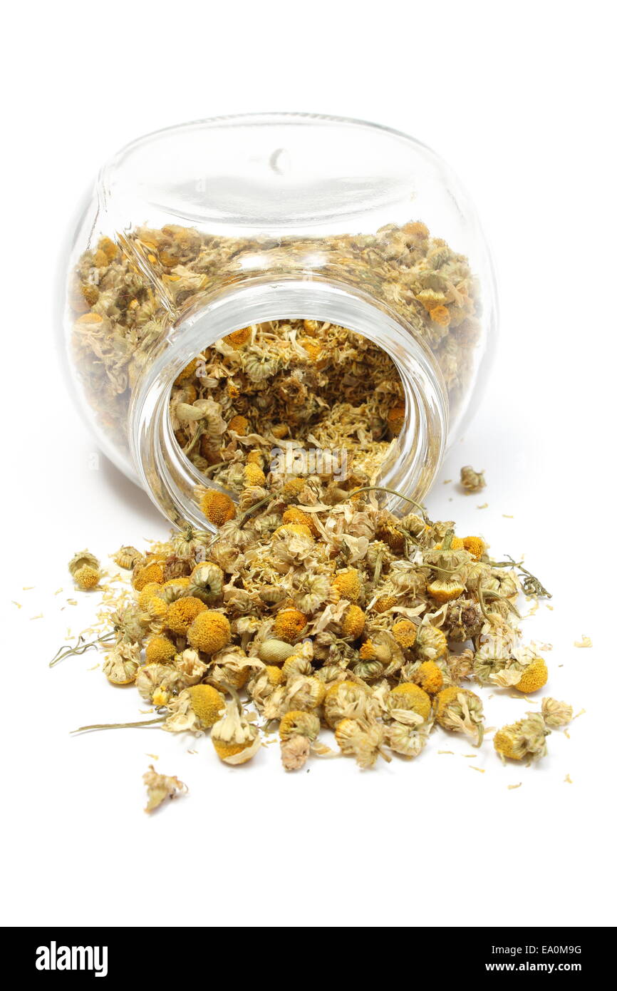 Closeup of dried camomile, dried camomile pouring out of glass jar ...