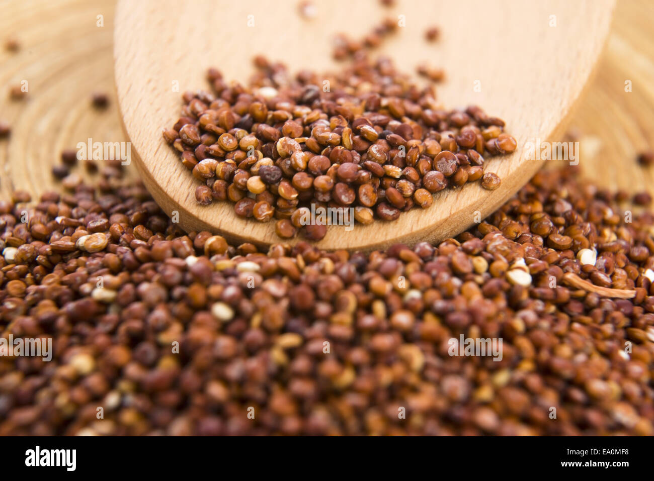 Red Quinoa grain Stock Photo - Alamy