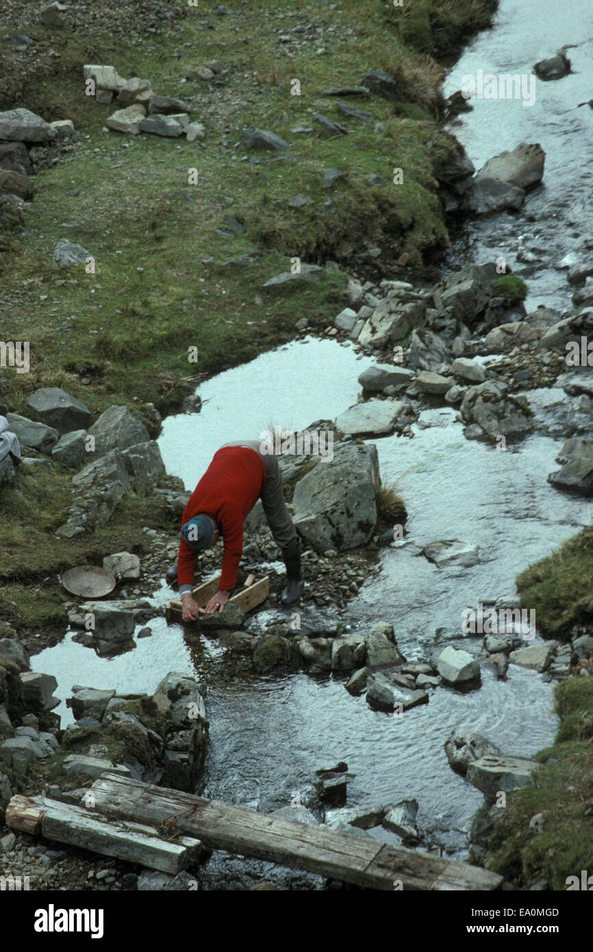 Panning for gold in a Scottish burn near Leadhills in Dumfriesshire ...