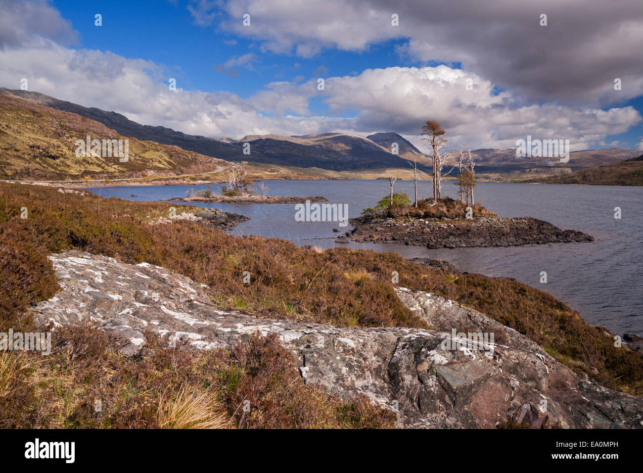 Loch Assynt, west Highland Region Scotland, UK Stock Photo - Alamy