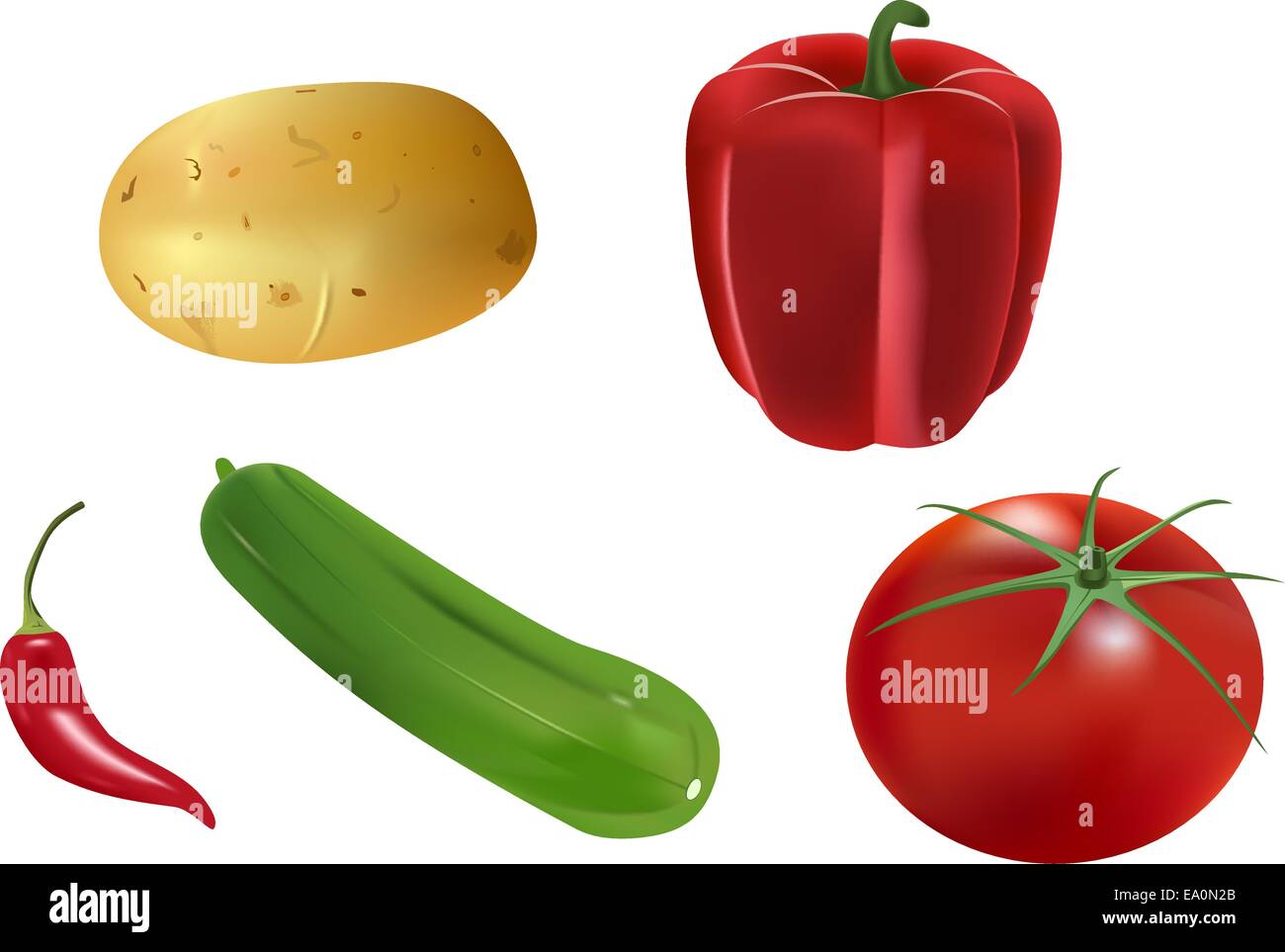 vector photo realistic vegetables on white background Stock Vector ...