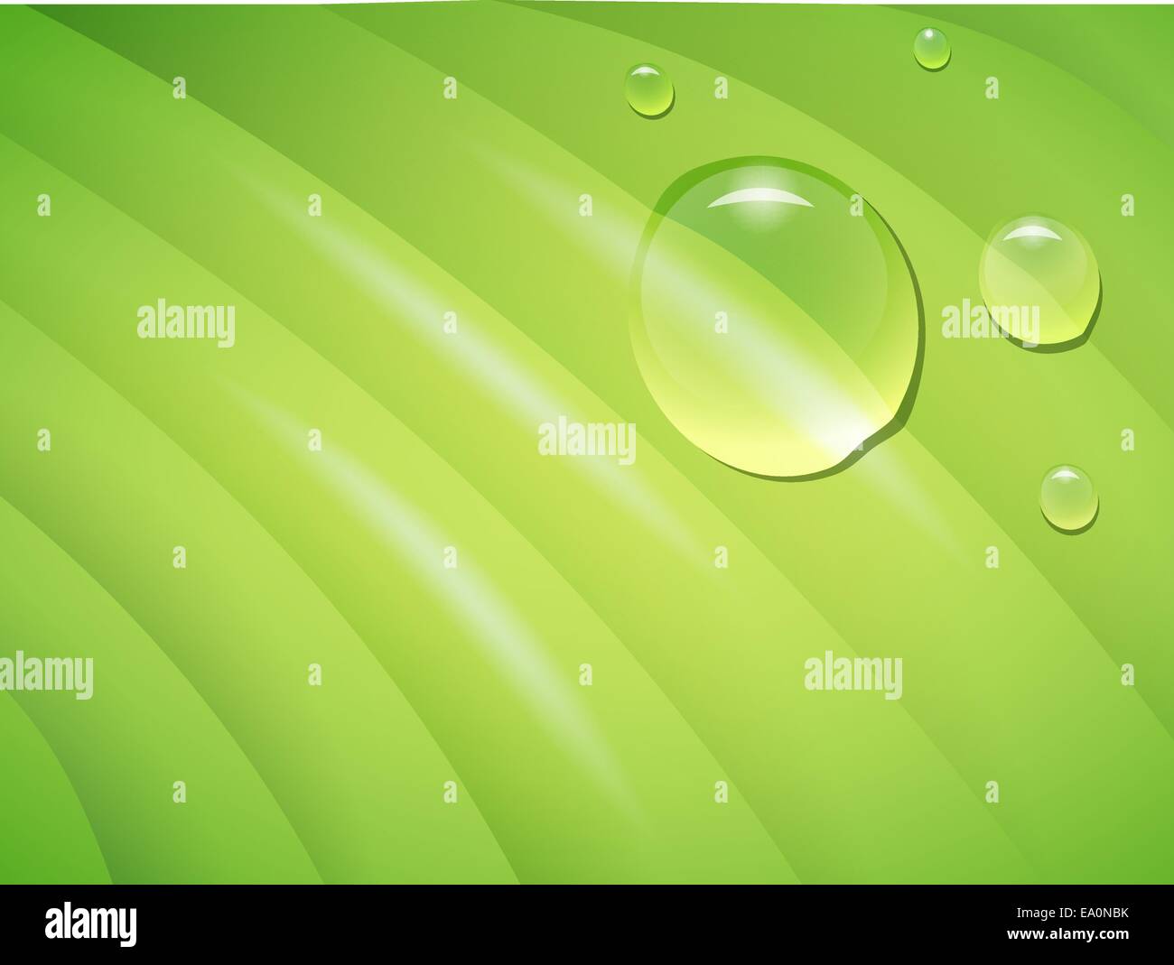 Macro rain drops plant leaf Stock Vector Images - Alamy