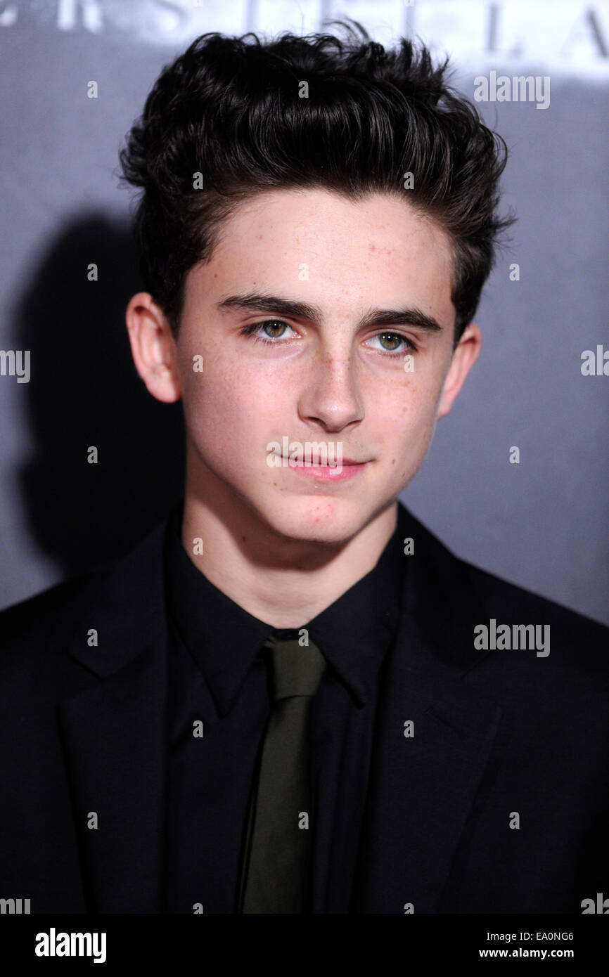 Timothee Chalamet attends the 'Interstellar' New York premiere at AMC ...
