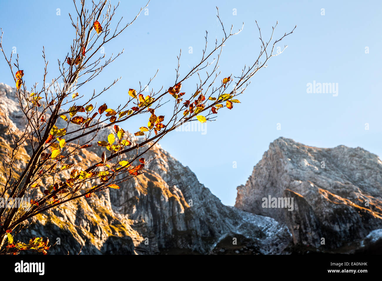Fall is coming in the italian alps Stock Photo - Alamy