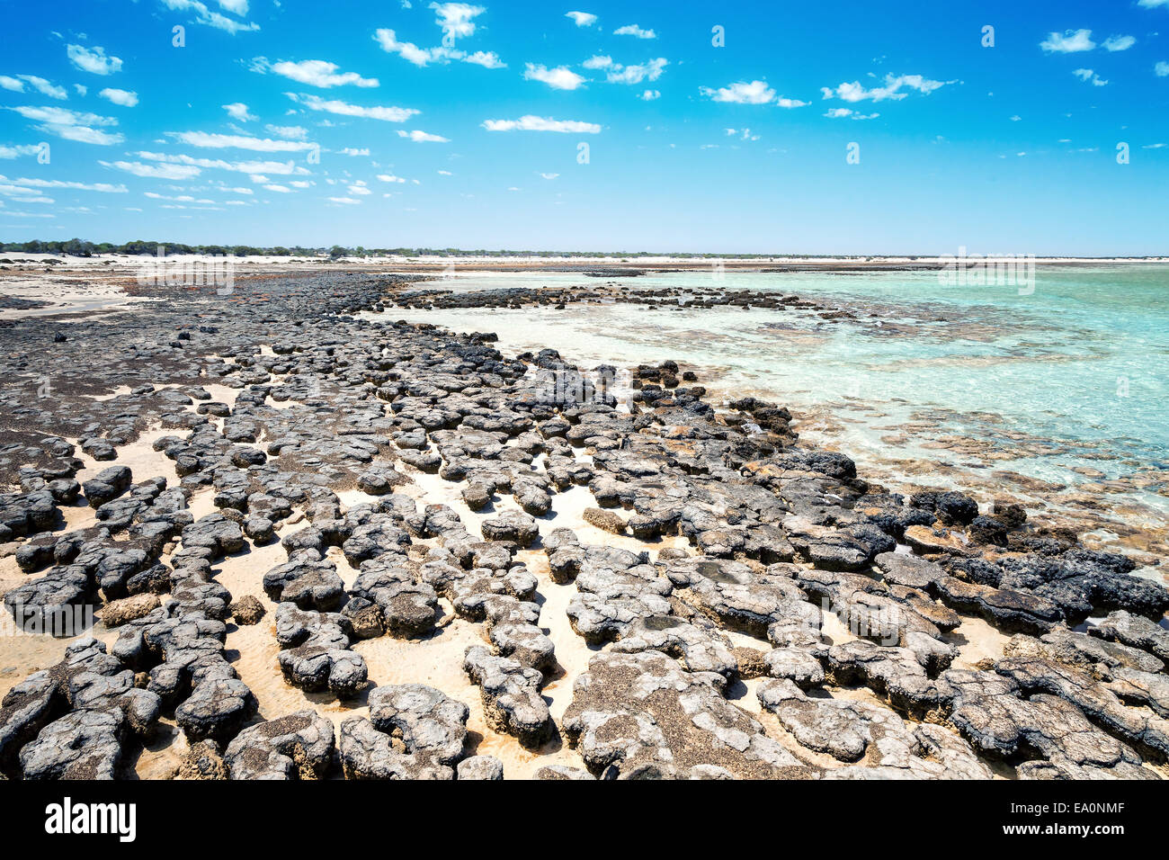 Stromatolites, Australia High Resolution Stock Photography and Images ...
