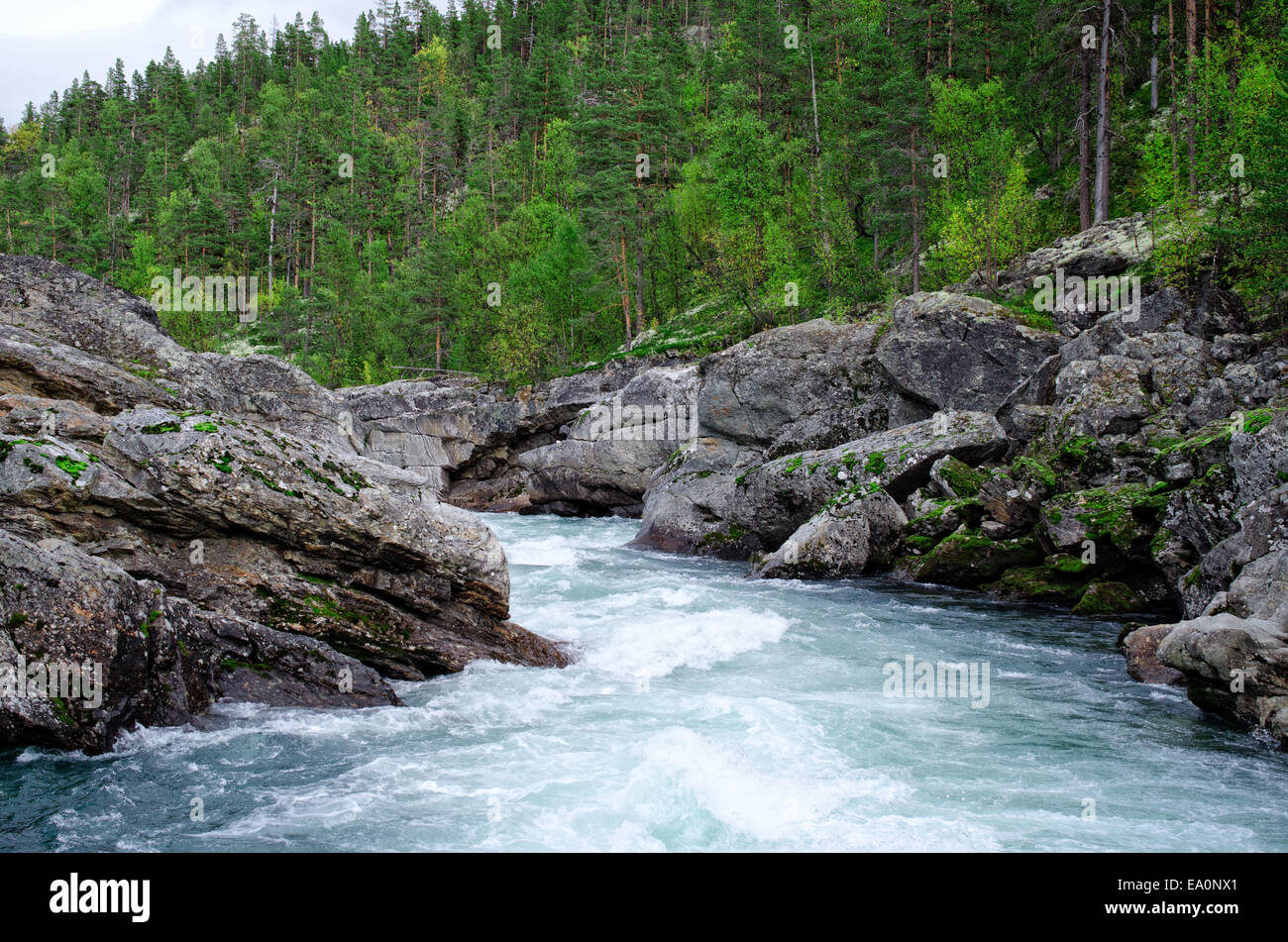 White water in river high hi-res stock photography and images - Alamy