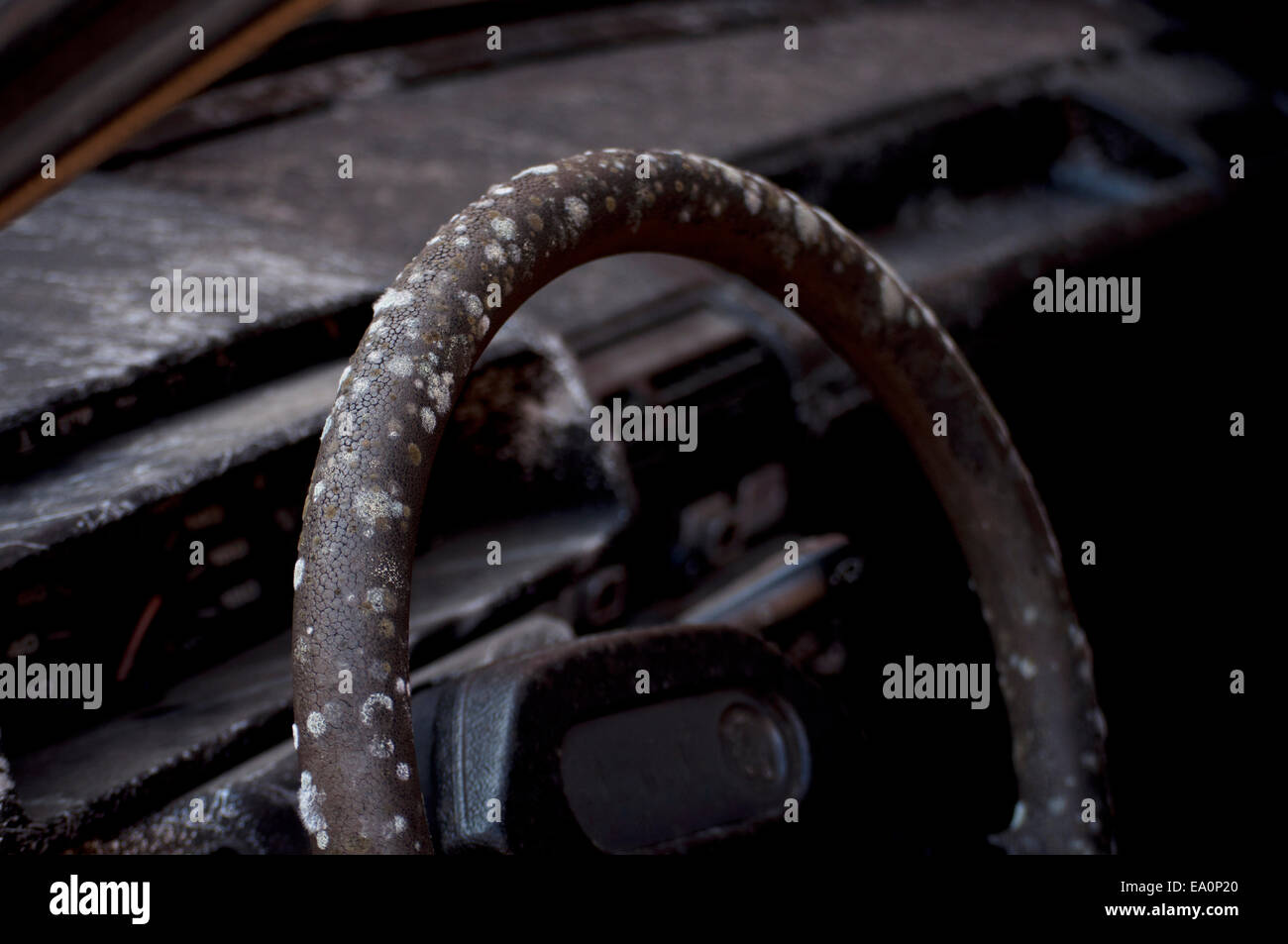 Moldy car hi-res stock photography and images - Alamy