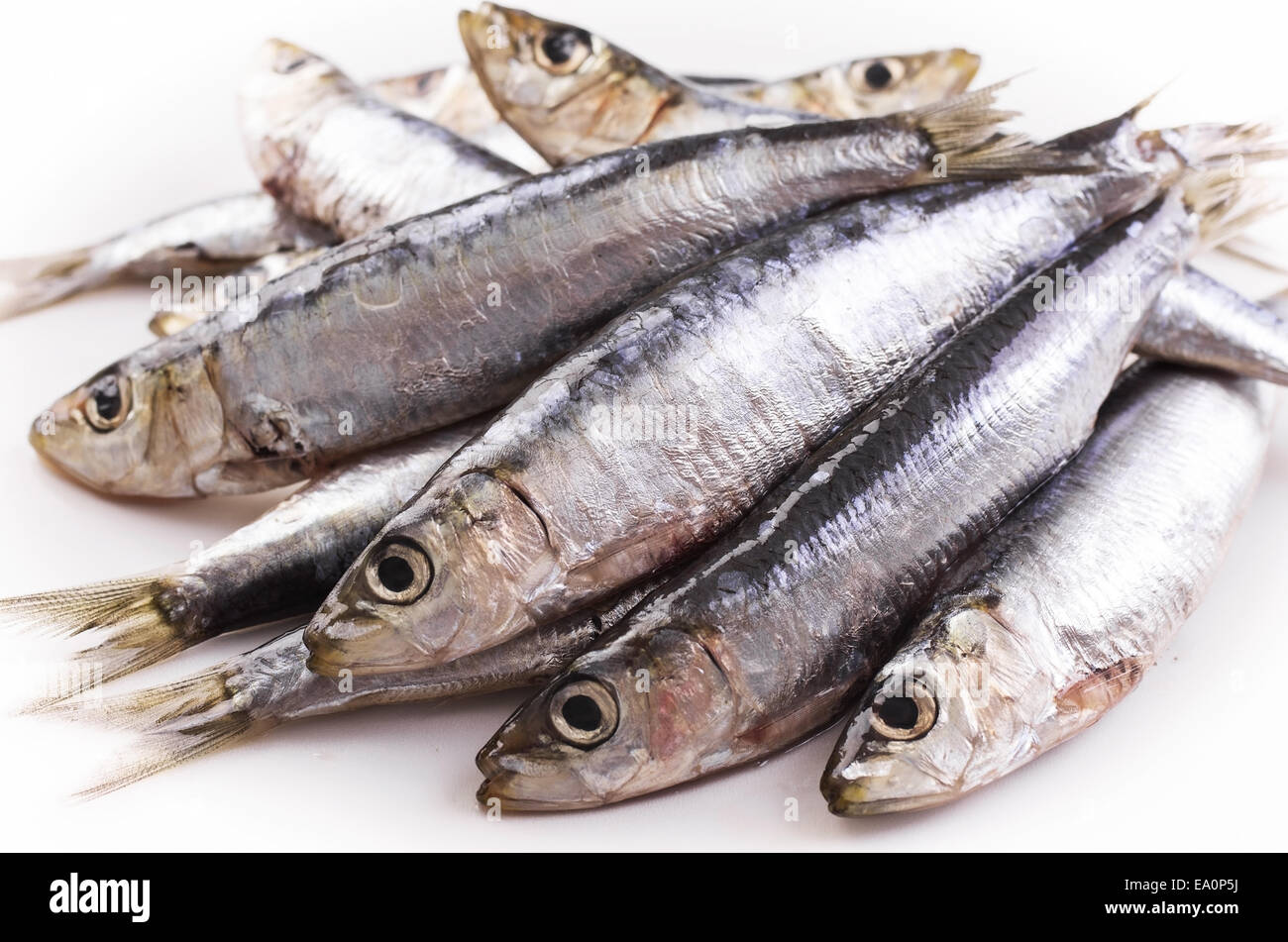 Anchovis hi-res stock photography and images - Alamy