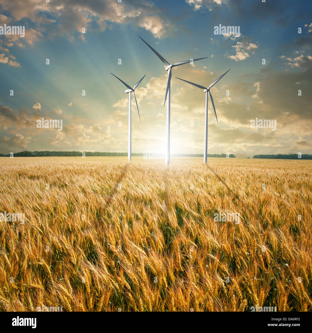 Wind generators turbines on wheat field Stock Photo - Alamy