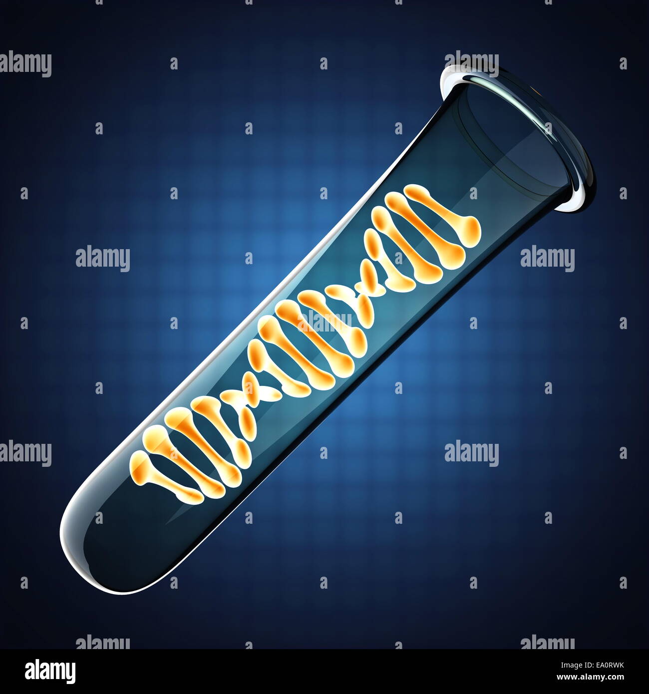 Dna model hi-res stock photography and images - Alamy