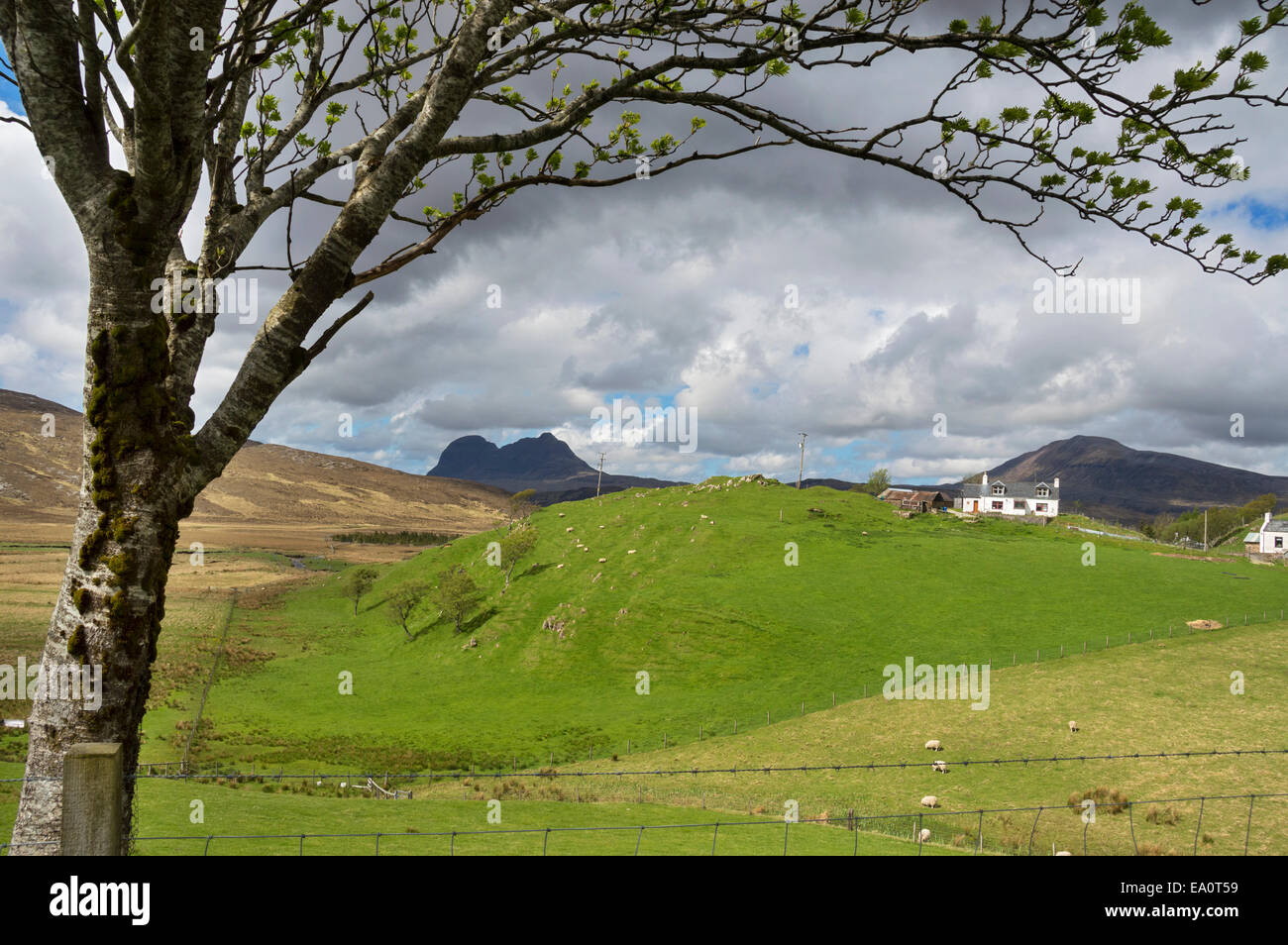 Elphin, Suilven, north of Ullapool, Highland region, Scotland, UK Stock ...