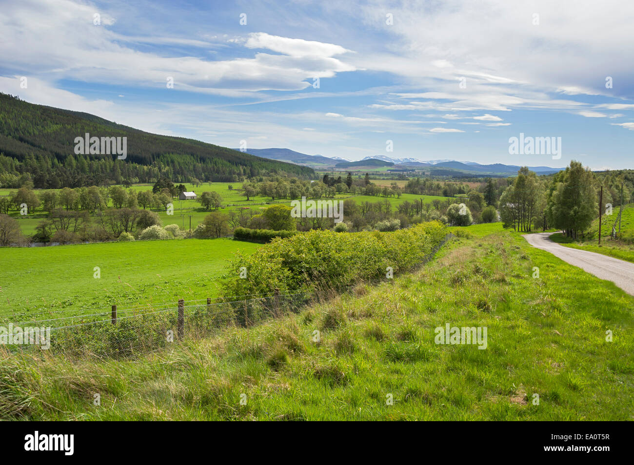 Strath Spey valley near Grantown on Spey, Highland, Scotland, UK Stock ...