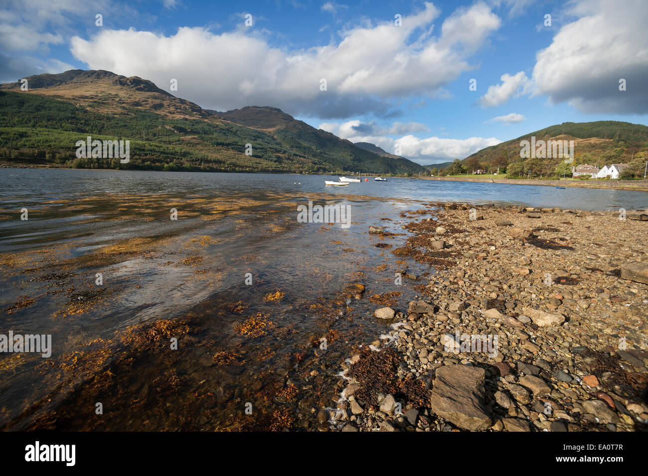 Arrochar Village High Resolution Stock Photography and Images - Alamy