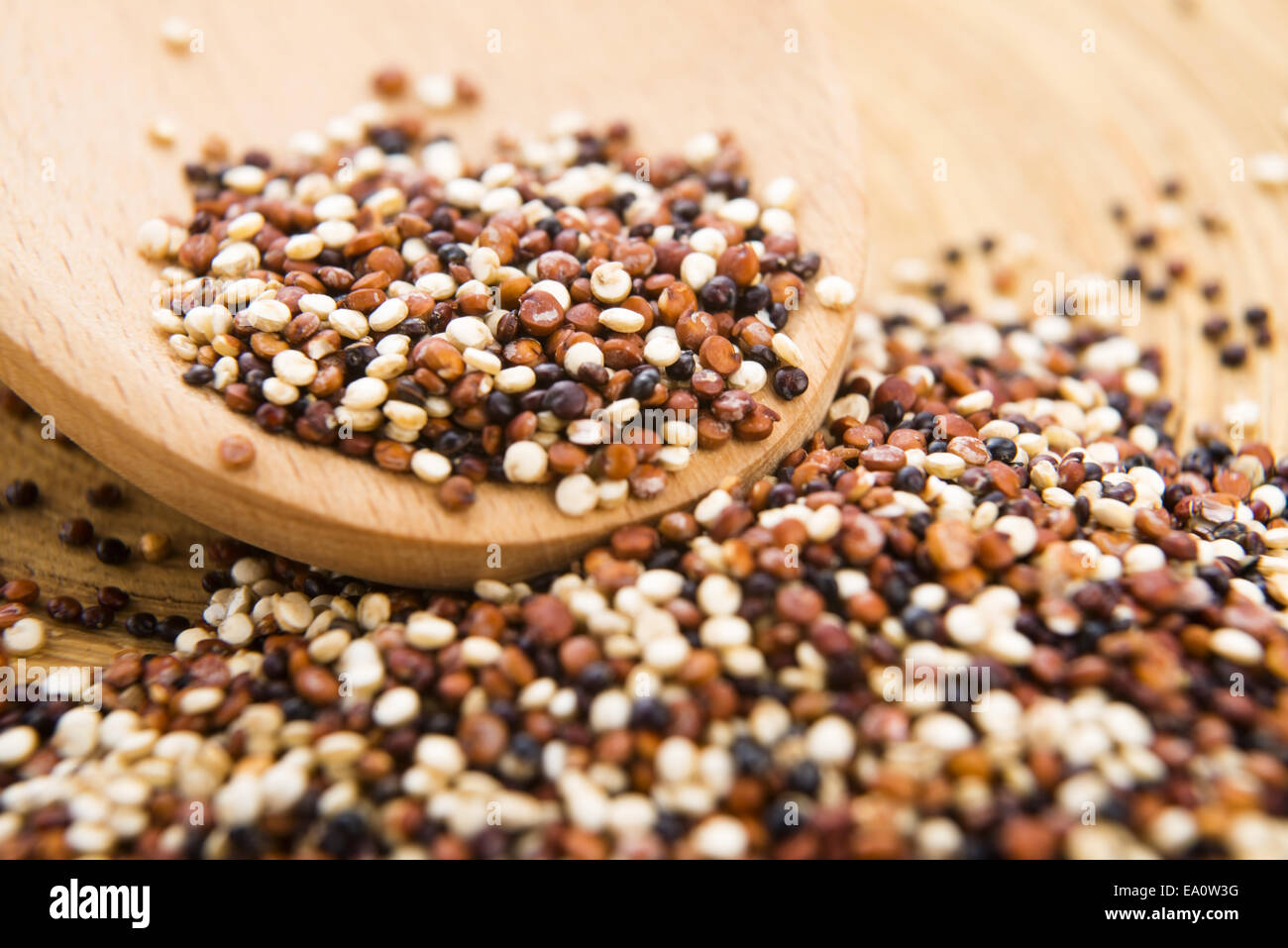 Tricolor quinoa grain Stock Photo - Alamy