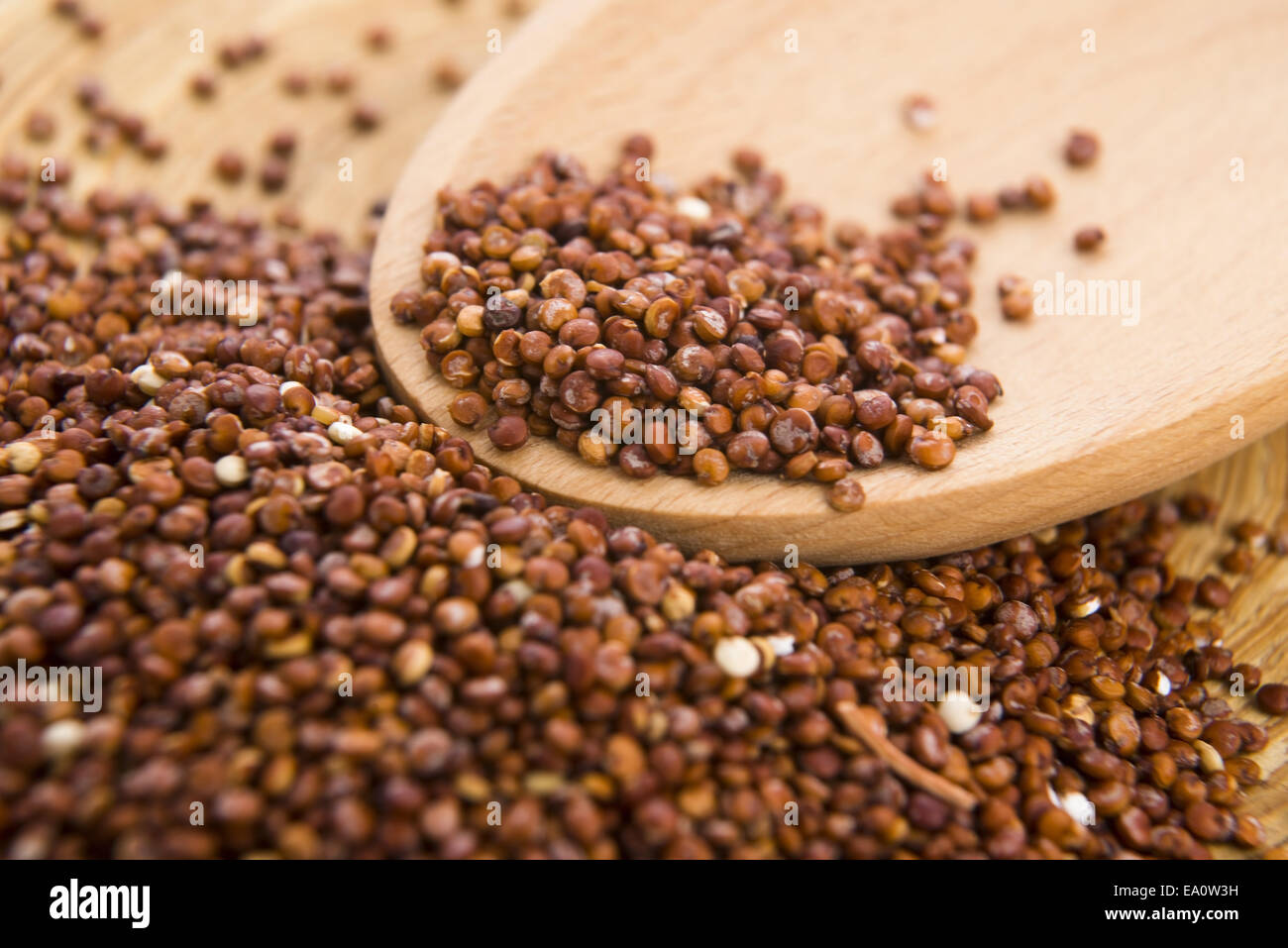 Red Quinoa grain Stock Photo - Alamy
