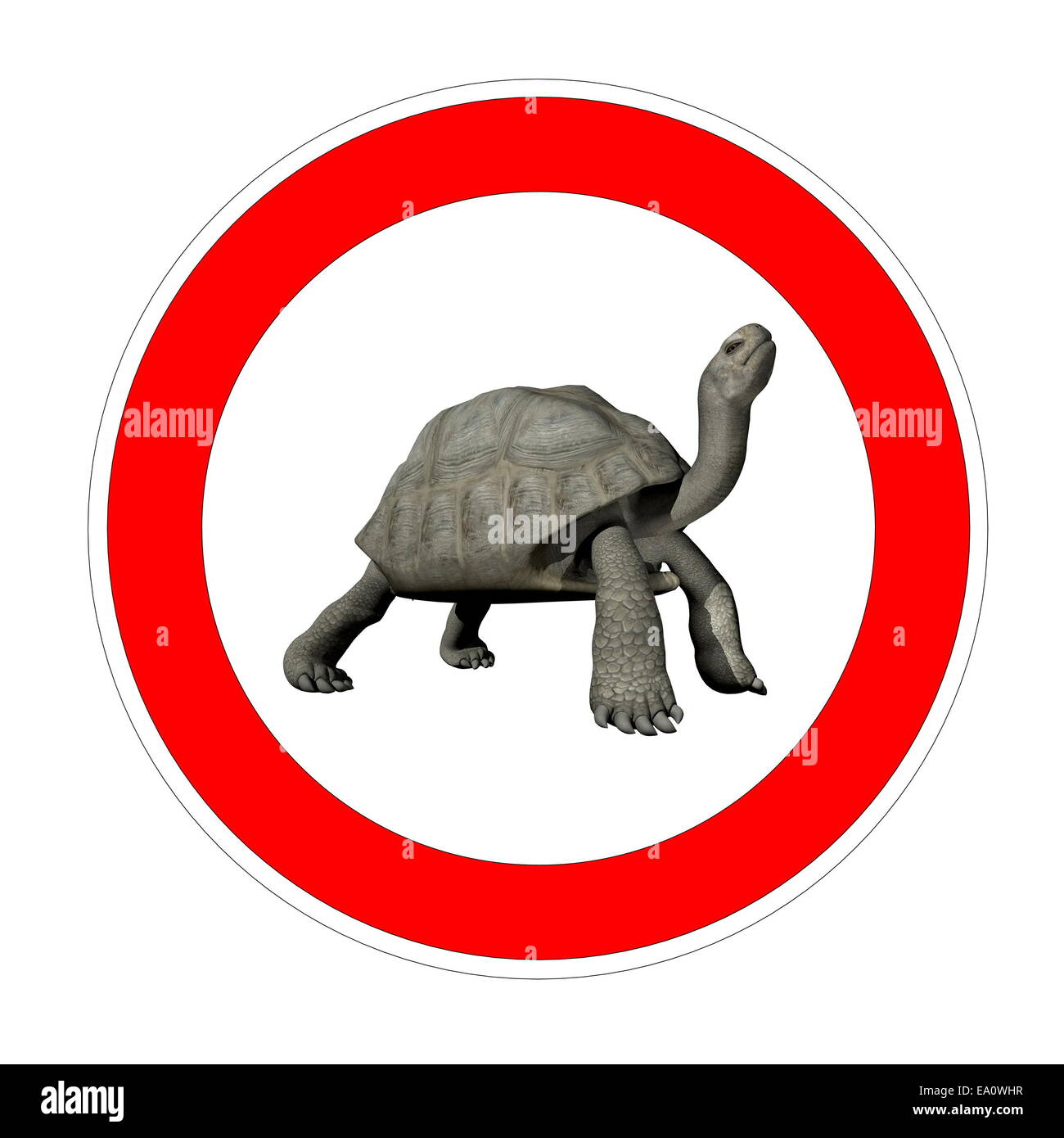 Turtle speed limit Stock Photo - Alamy
