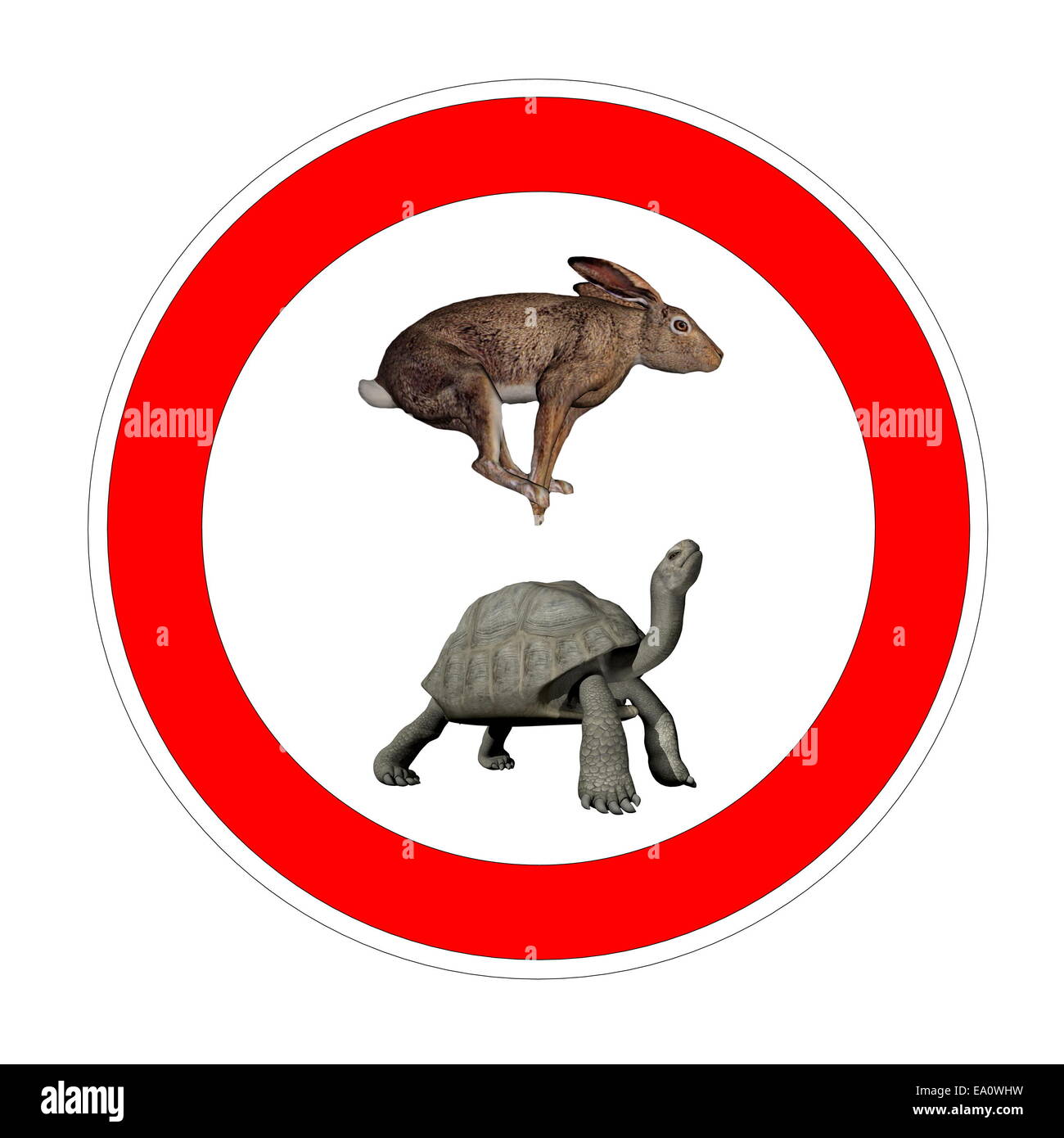 Turtle and hare speed limit Stock Photo - Alamy