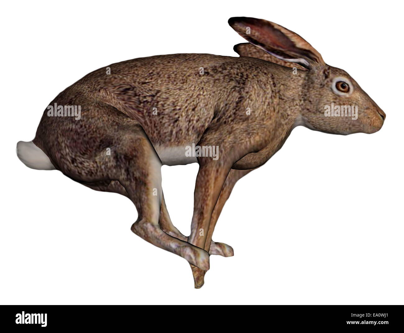 Running Hare Clip Art