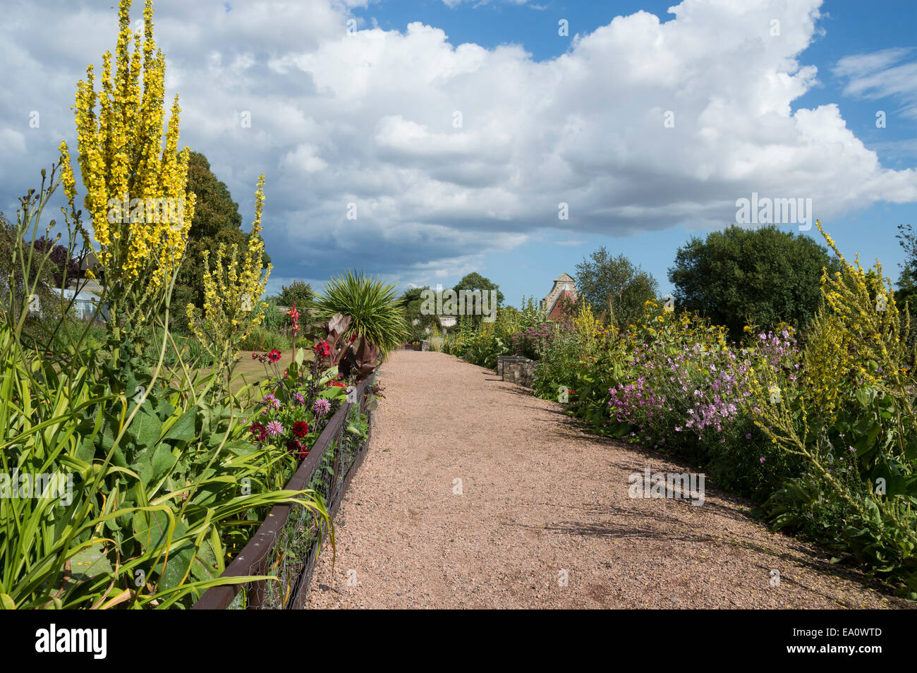 Craigtoun Park; gardens, St Andrews Fife, Scotland UK Stock Photo - Alamy
