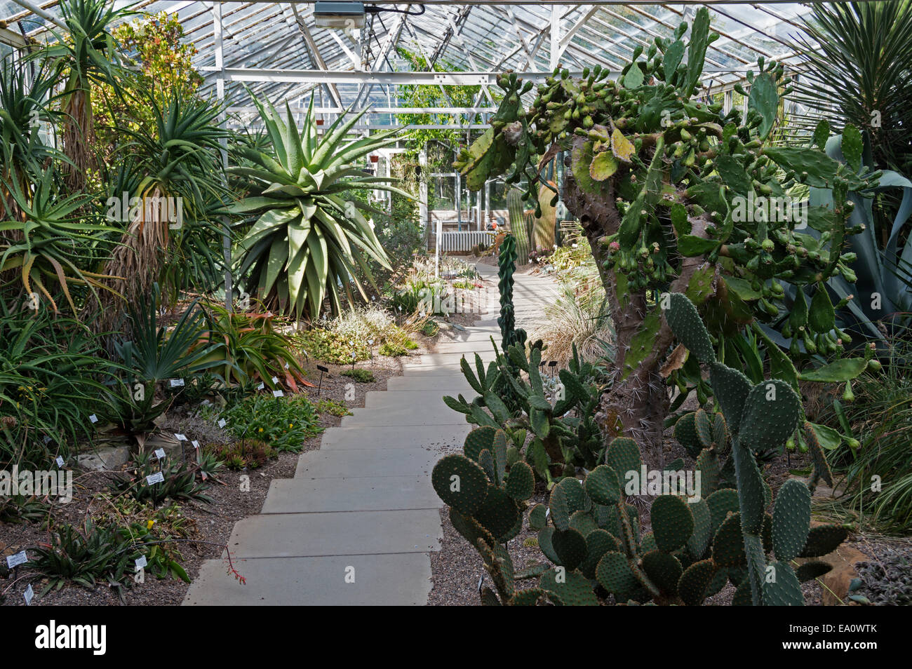 Botanic Gardens, St Andrews, Fife, Scotland, UK Stock Photo - Alamy
