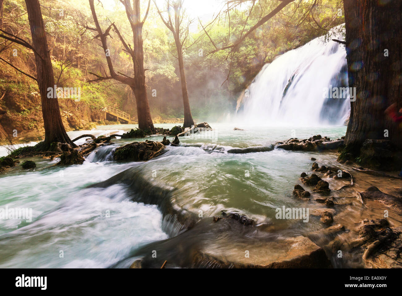 Waterfall in Mexico Stock Photo - Alamy