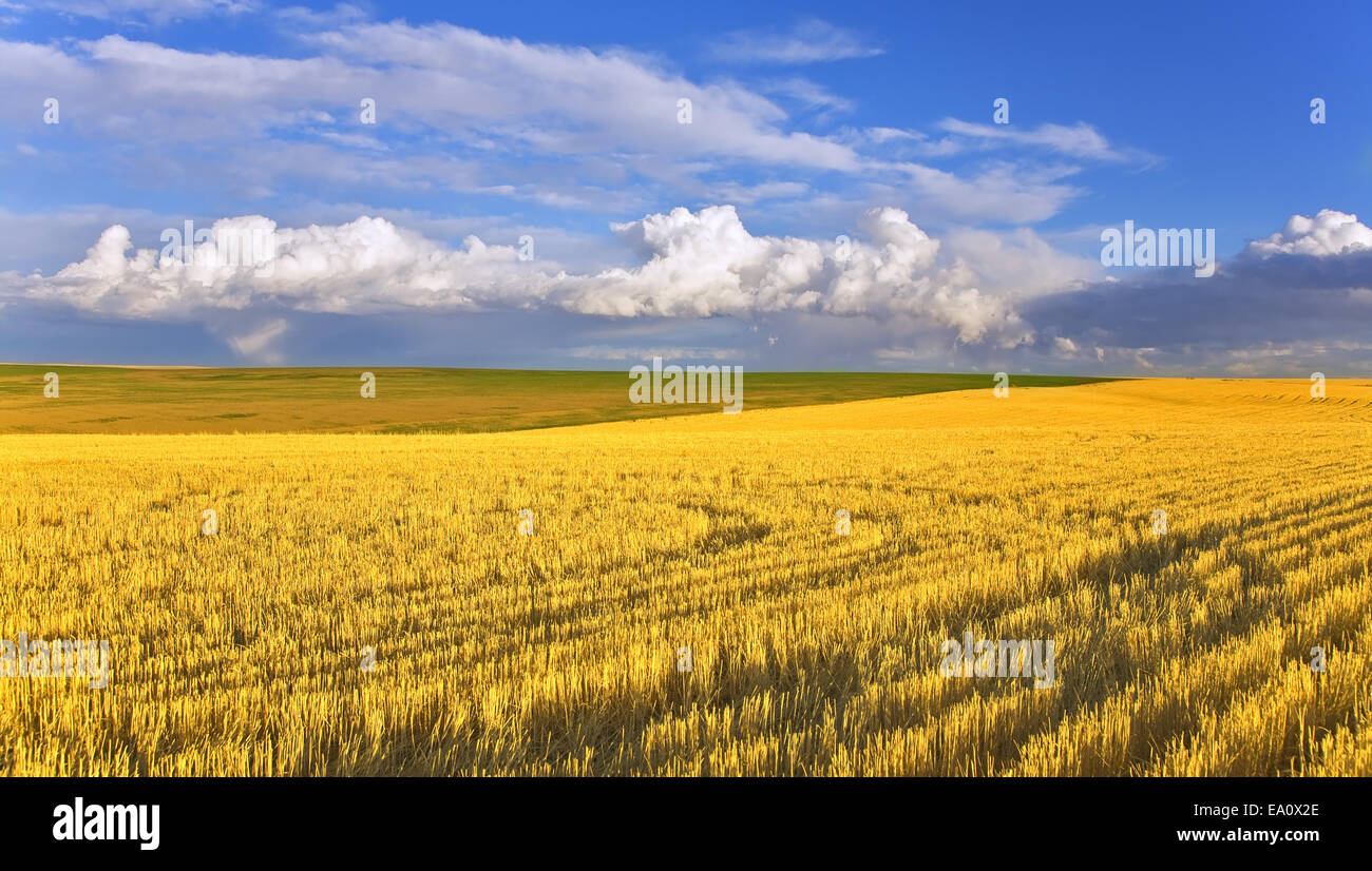 Huge field hi-res stock photography and images - Alamy