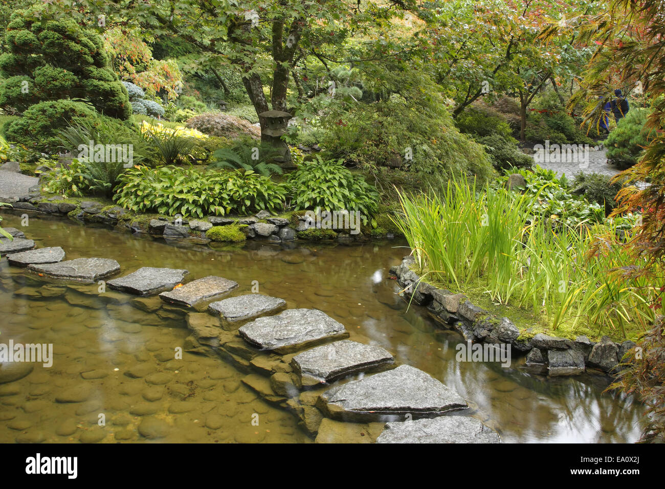 A stream and path from stones Stock Photo - Alamy