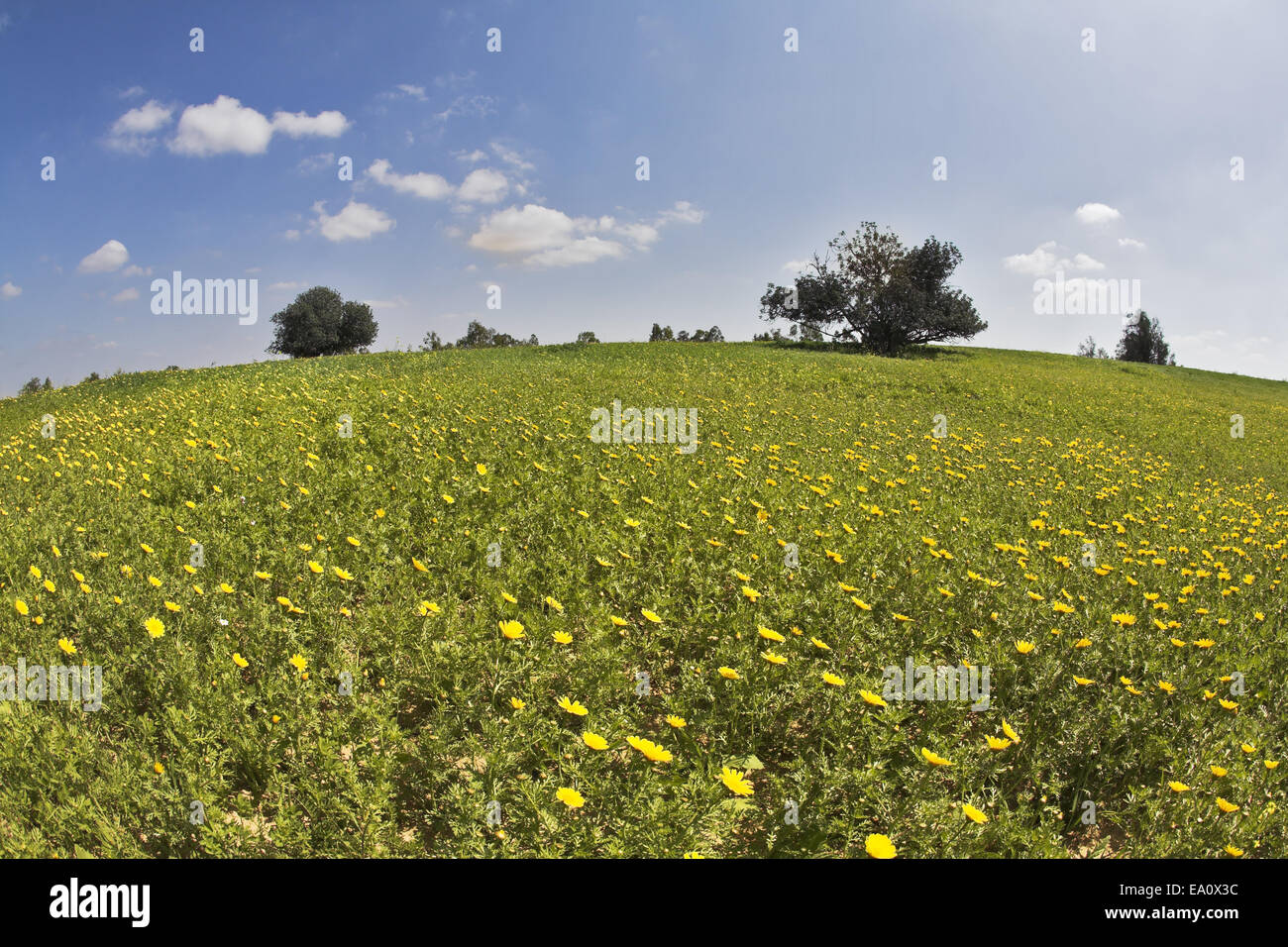 Midday sun landscape hi-res stock photography and images - Alamy