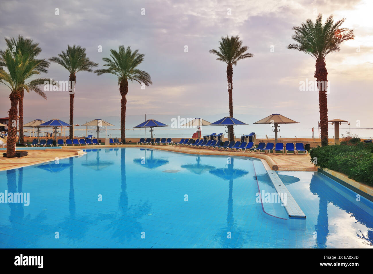The swimming pool and palm trees Stock Photo - Alamy