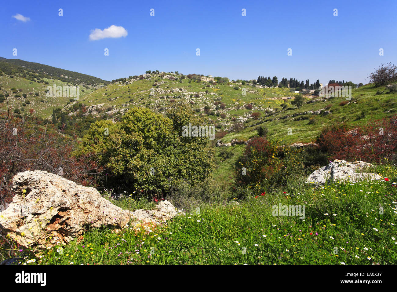 The mountain Meron in clear spring day Stock Photo - Alamy