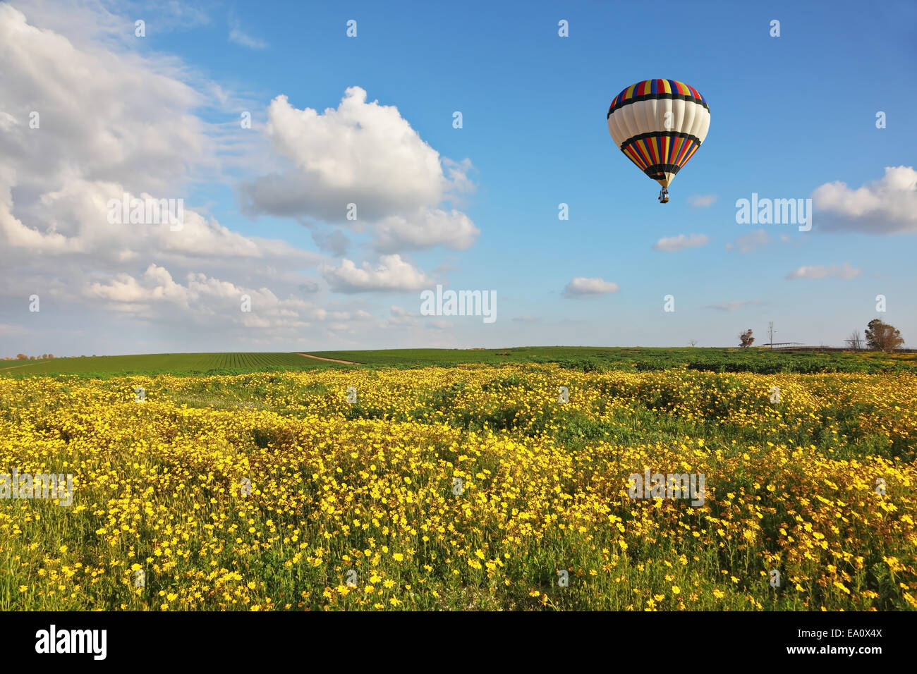 A balloon over the field Stock Photo - Alamy