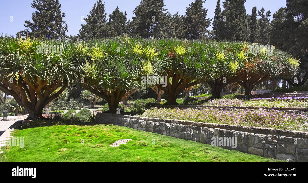 Magnificent garden Stock Photo - Alamy