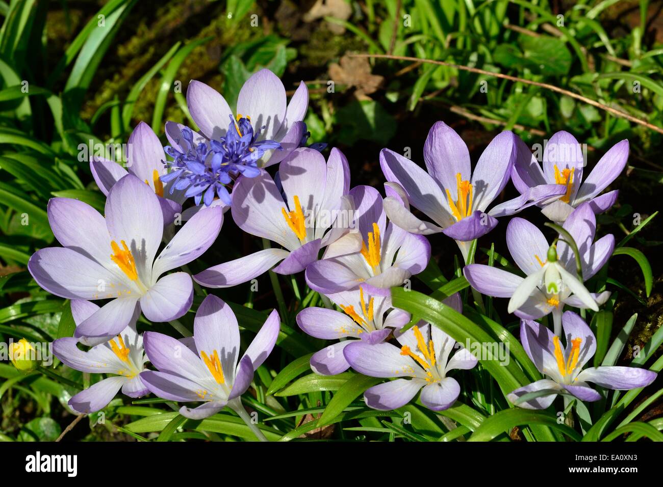 Group of pe hi-res stock photography and images - Alamy