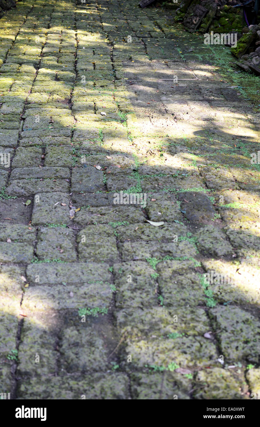Mossy brick pavement texture hi-res stock photography and images - Alamy