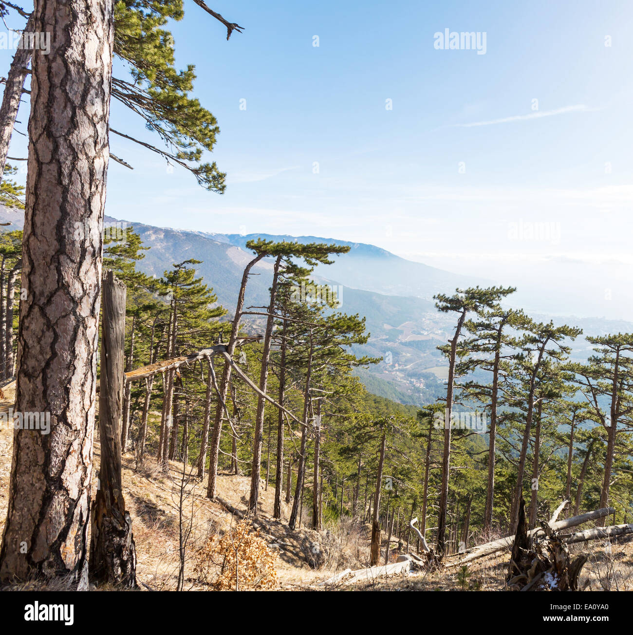 Crimean cliffs hi-res stock photography and images - Alamy