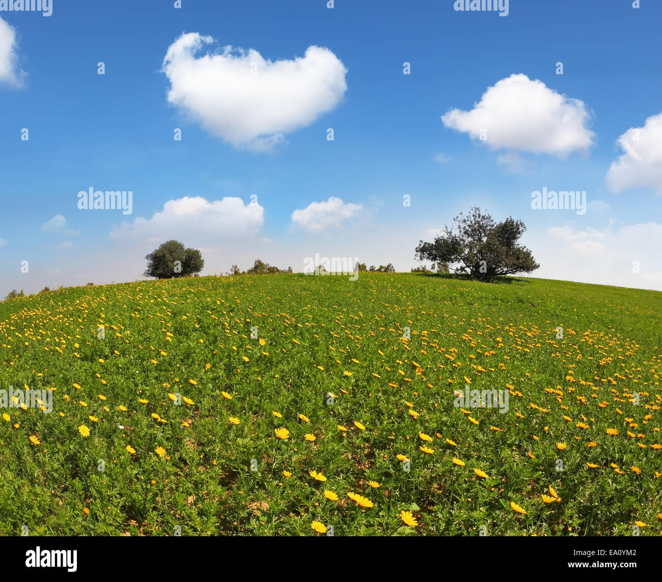 Wonderful growth hi-res stock photography and images - Alamy