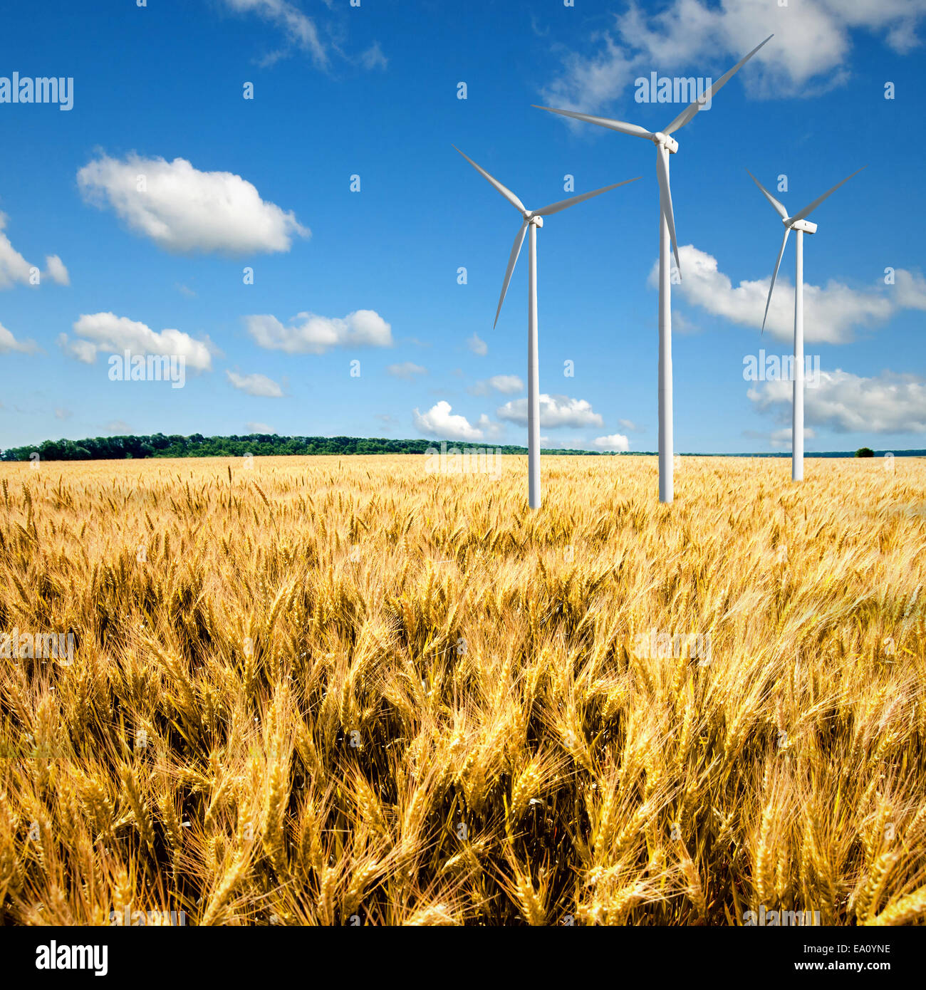 Wind generators turbines on wheat field Stock Photo - Alamy