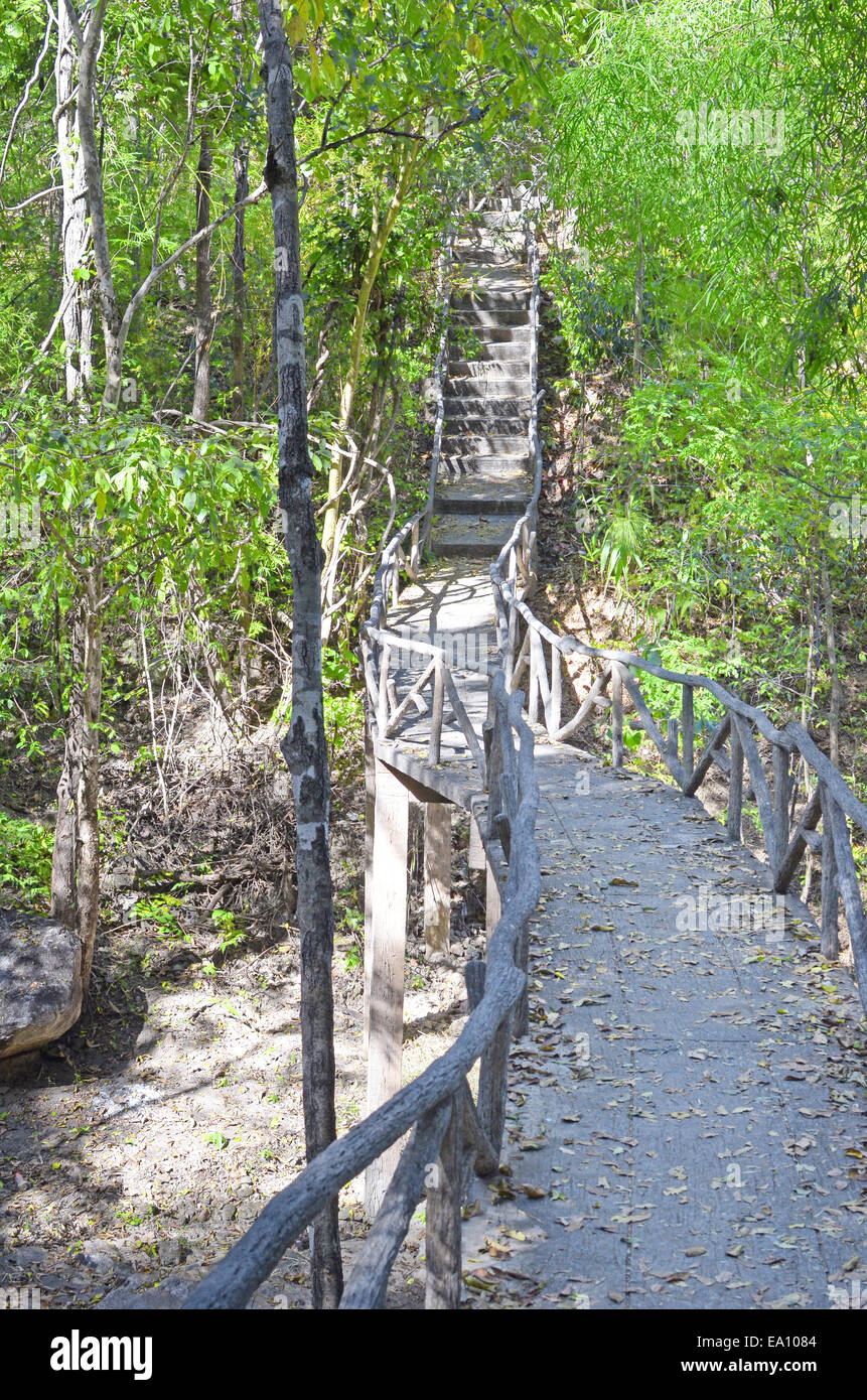 Stairs of wooden footbridge hi-res stock photography and images - Alamy