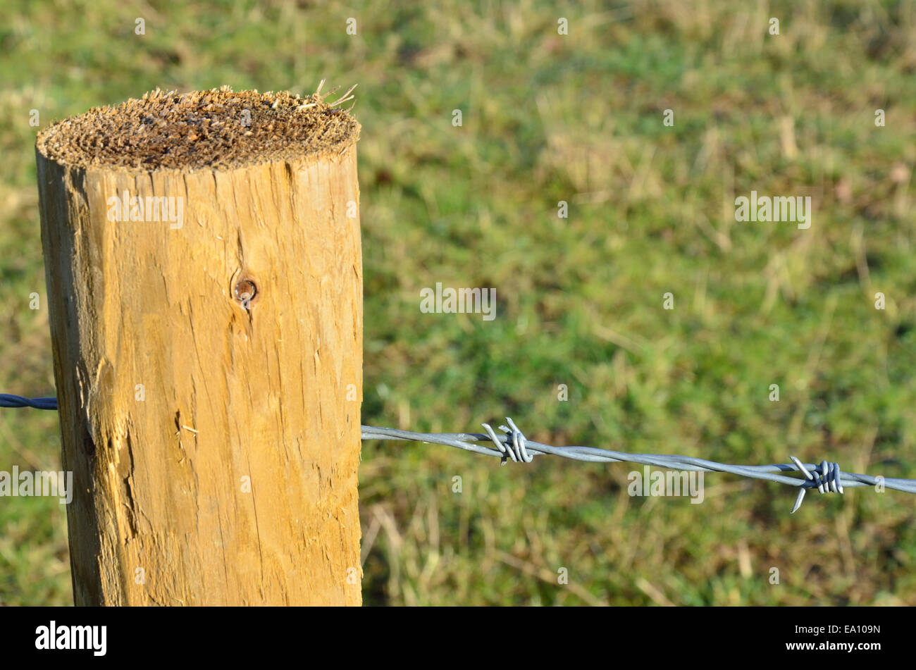 Post and wire hi-res stock photography and images - Alamy