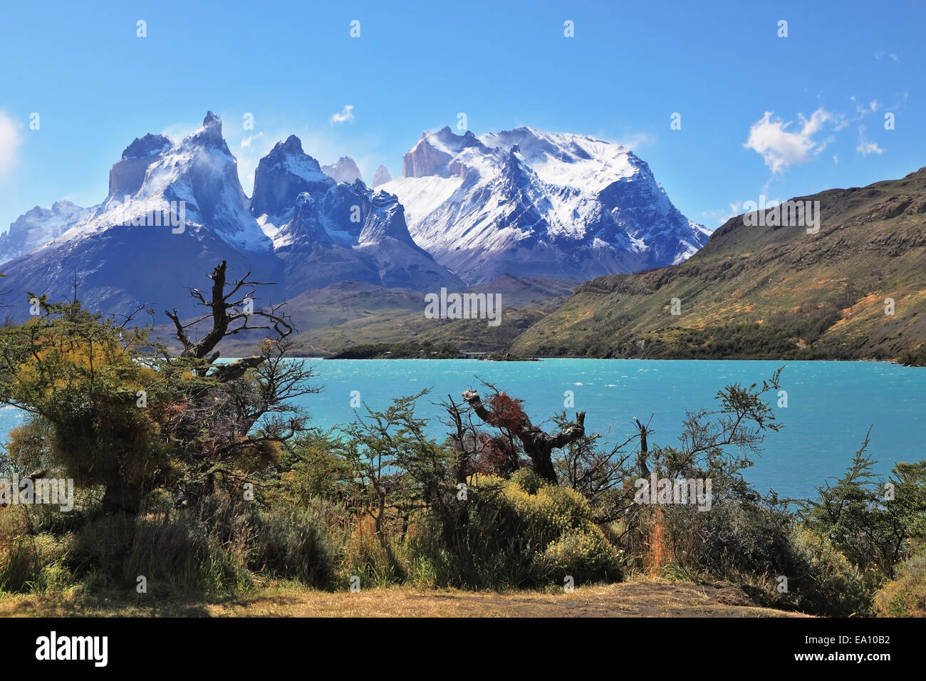 Magic beauty of Lake Pehoe Stock Photo - Alamy