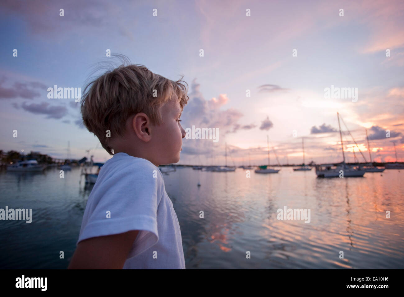 Boy point out hi-res stock photography and images - Alamy