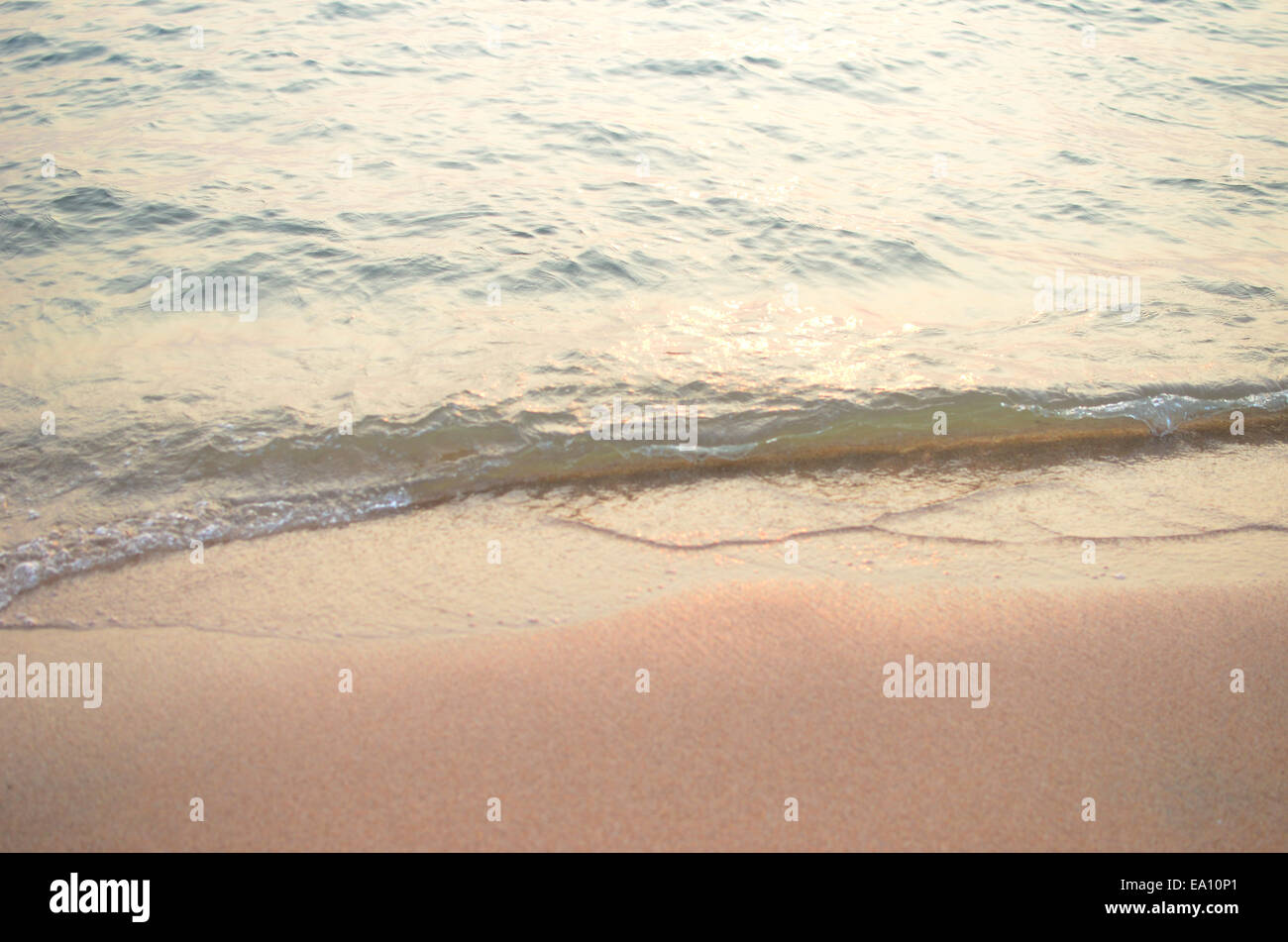 Sea shore life hi-res stock photography and images - Alamy