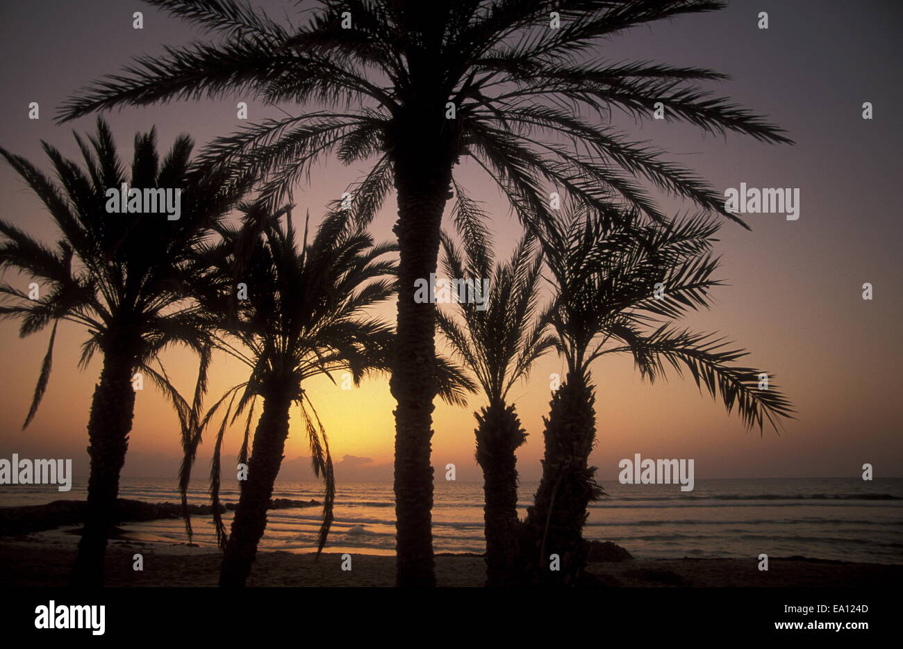 Tunesien strand hi-res stock photography and images - Alamy