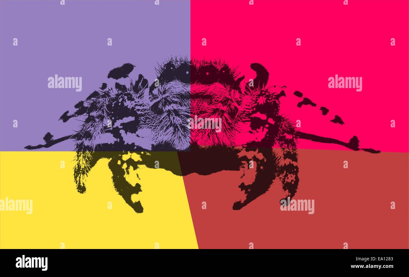 Digital spider hi-res stock photography and images - Alamy