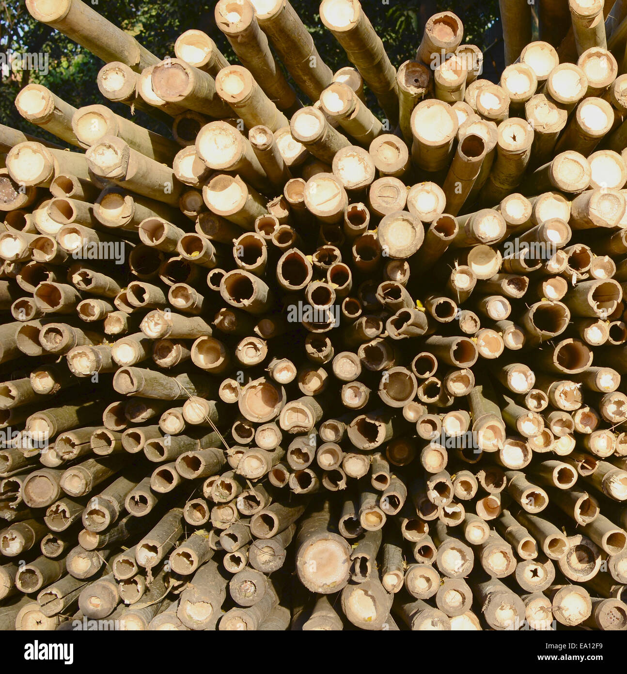 Bamboo slice hi-res stock photography and images - Alamy