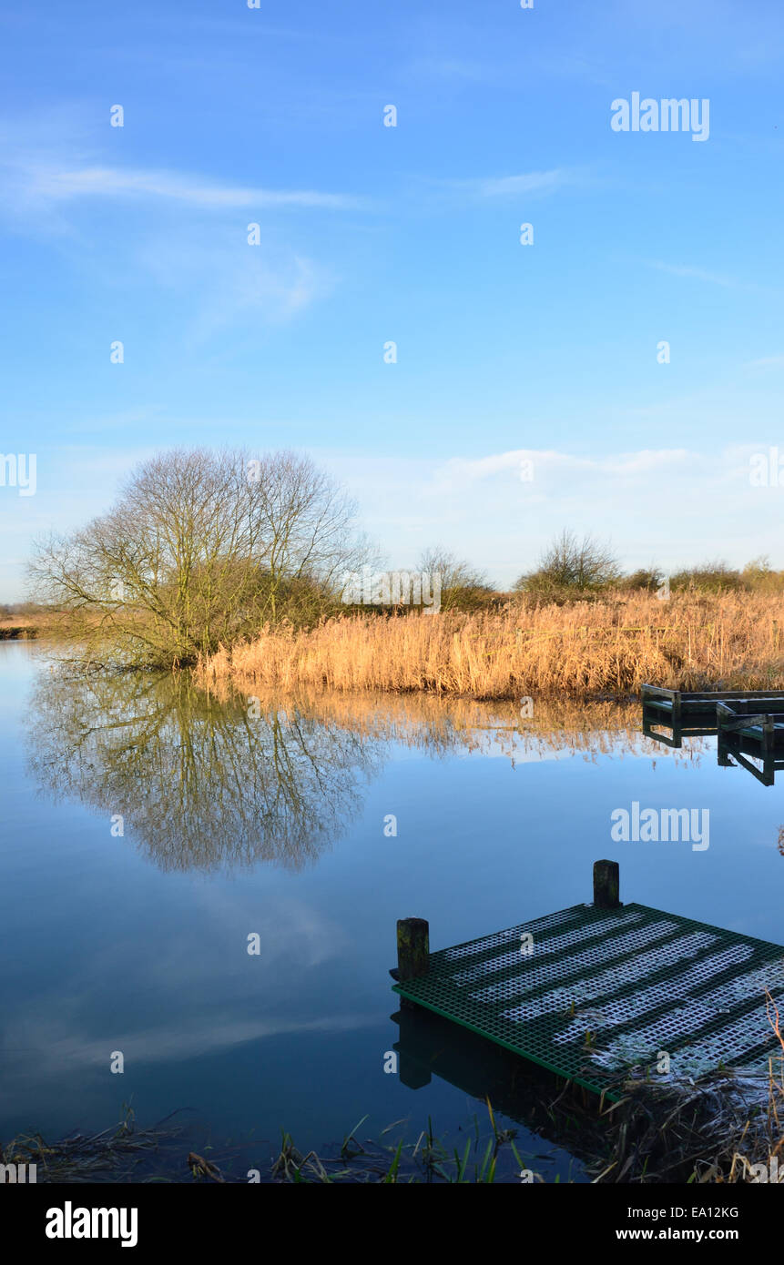 Fishing lake essex hi-res stock photography and images - Alamy