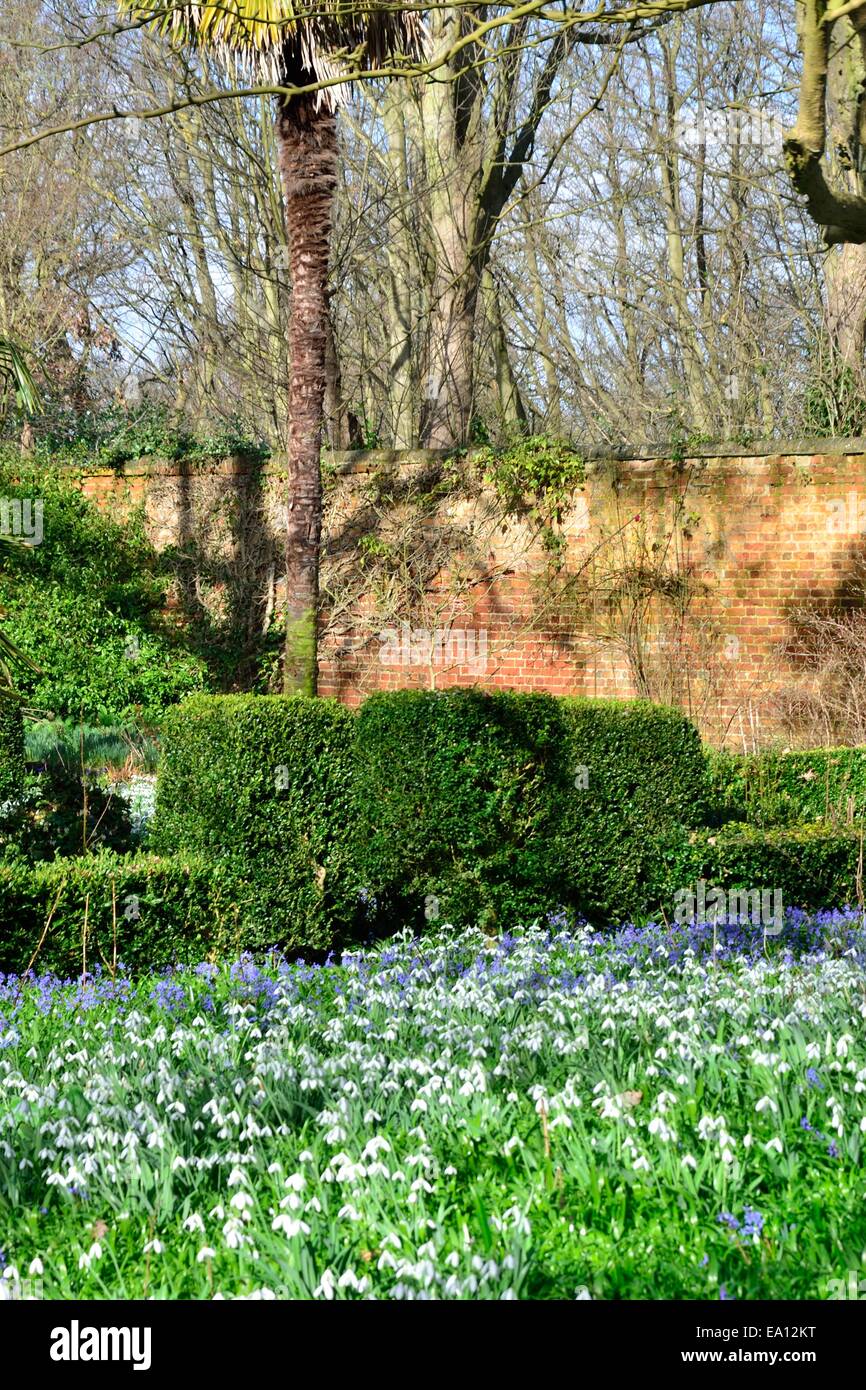 Early spring flowers in garden Stock Photo - Alamy