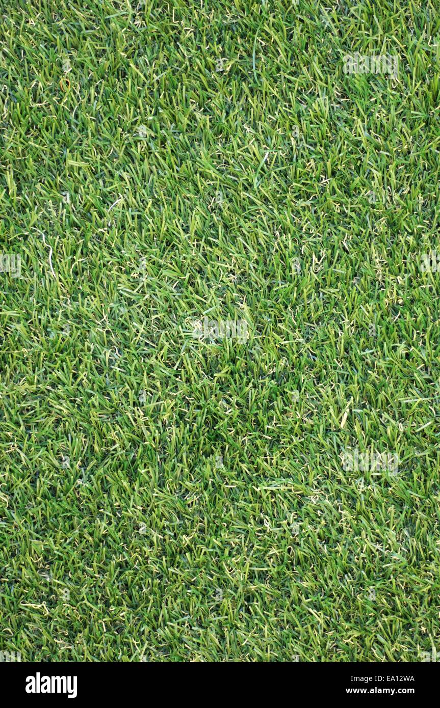 Seamless astro turf texture hi-res stock photography and images - Alamy