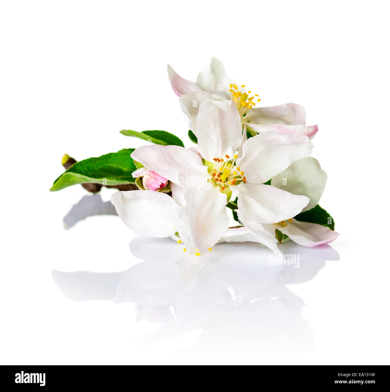 Spring wedding flowers hi-res stock photography and images - Alamy